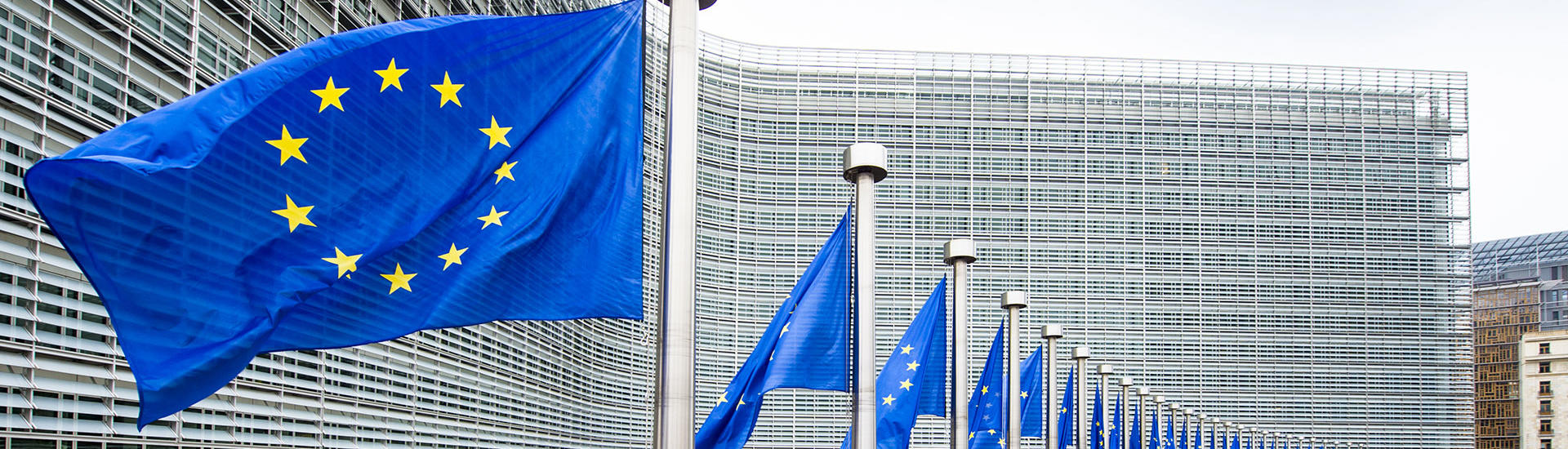 Que faut-il attendre de la Commission européenne en 2025 ? - CPME67